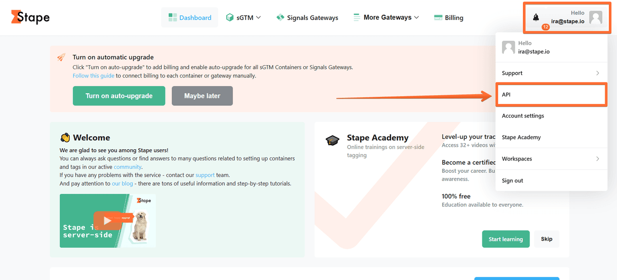 Stape API Tool | Stape Documentation
