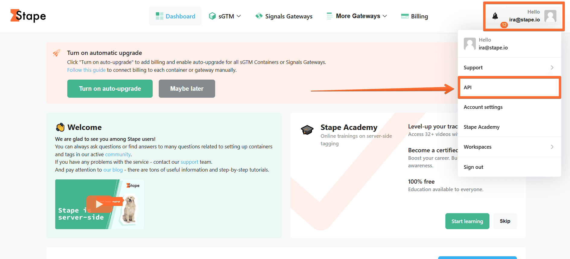 Stape API Tool | Stape Documentation